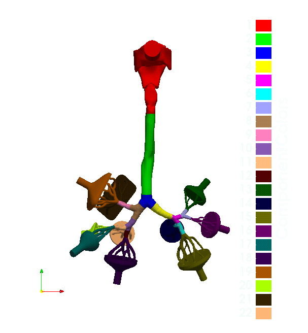 Human upper airways – CFD SUPPORT